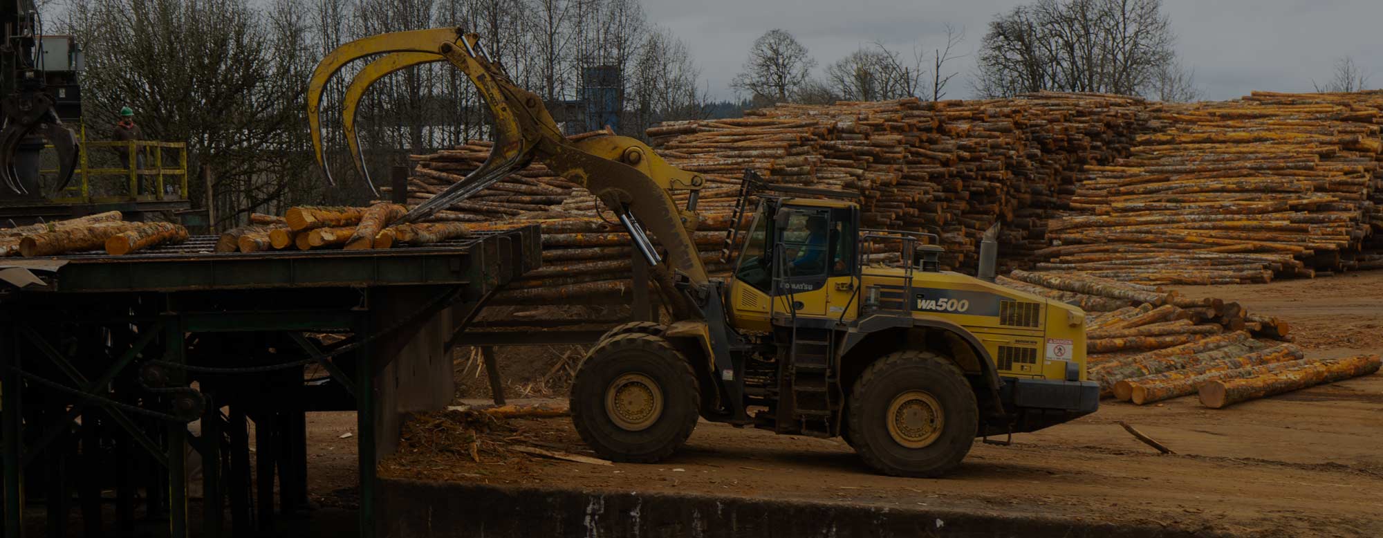 Log Buying Team - Cascade Hardwood